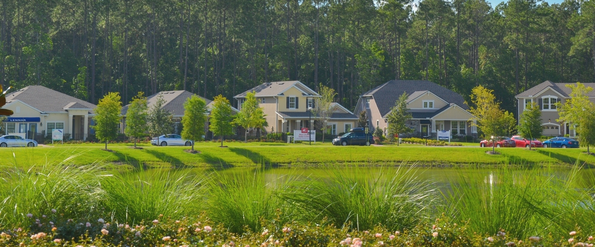 Benefits of New Homes with Natural Surroundings